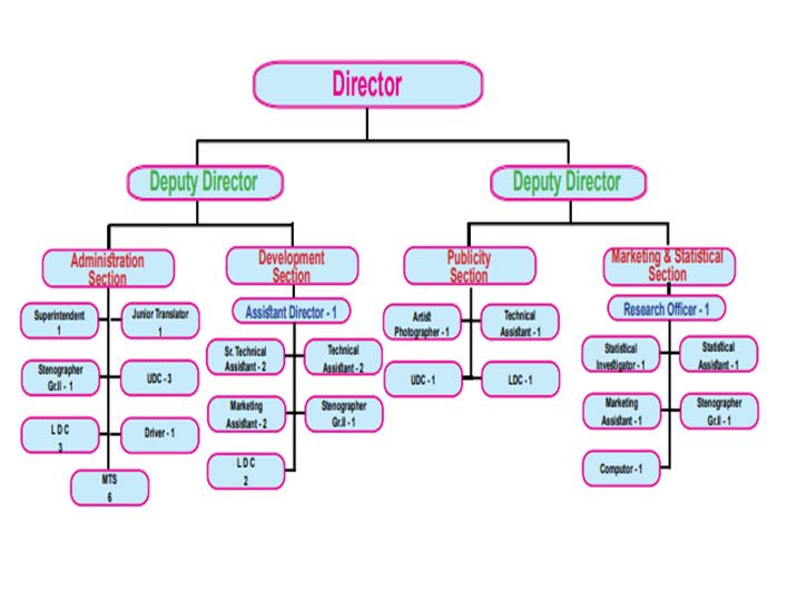 Organisation and Function – Directorate of Arecanut and Spices ...